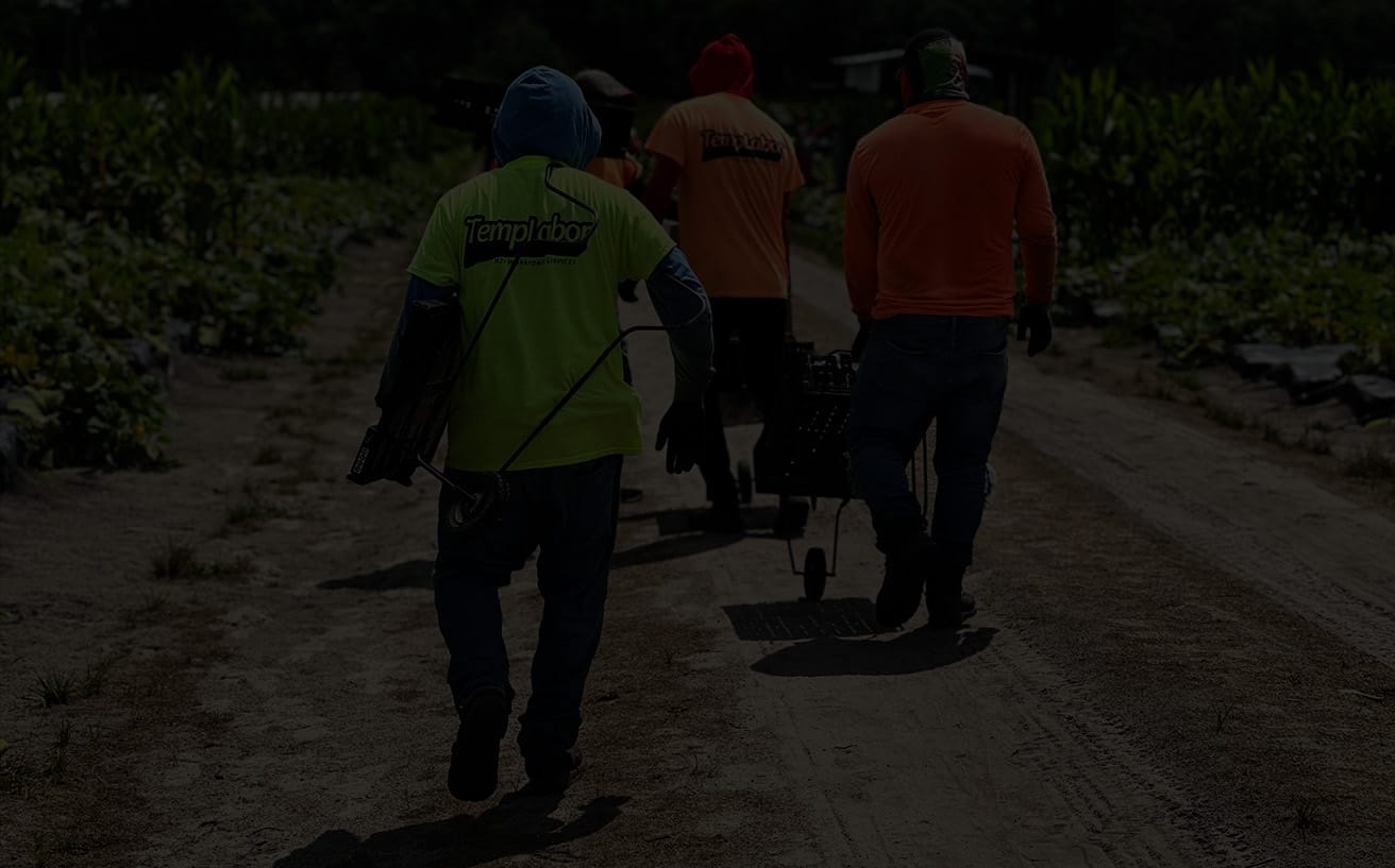 Radio - Big Force Academy