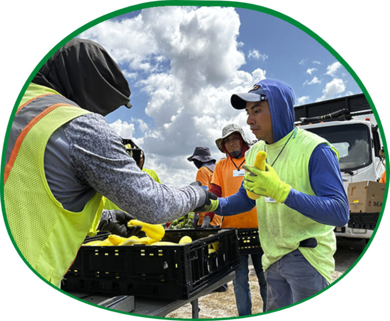 BIG FORCE - Big Force Academy